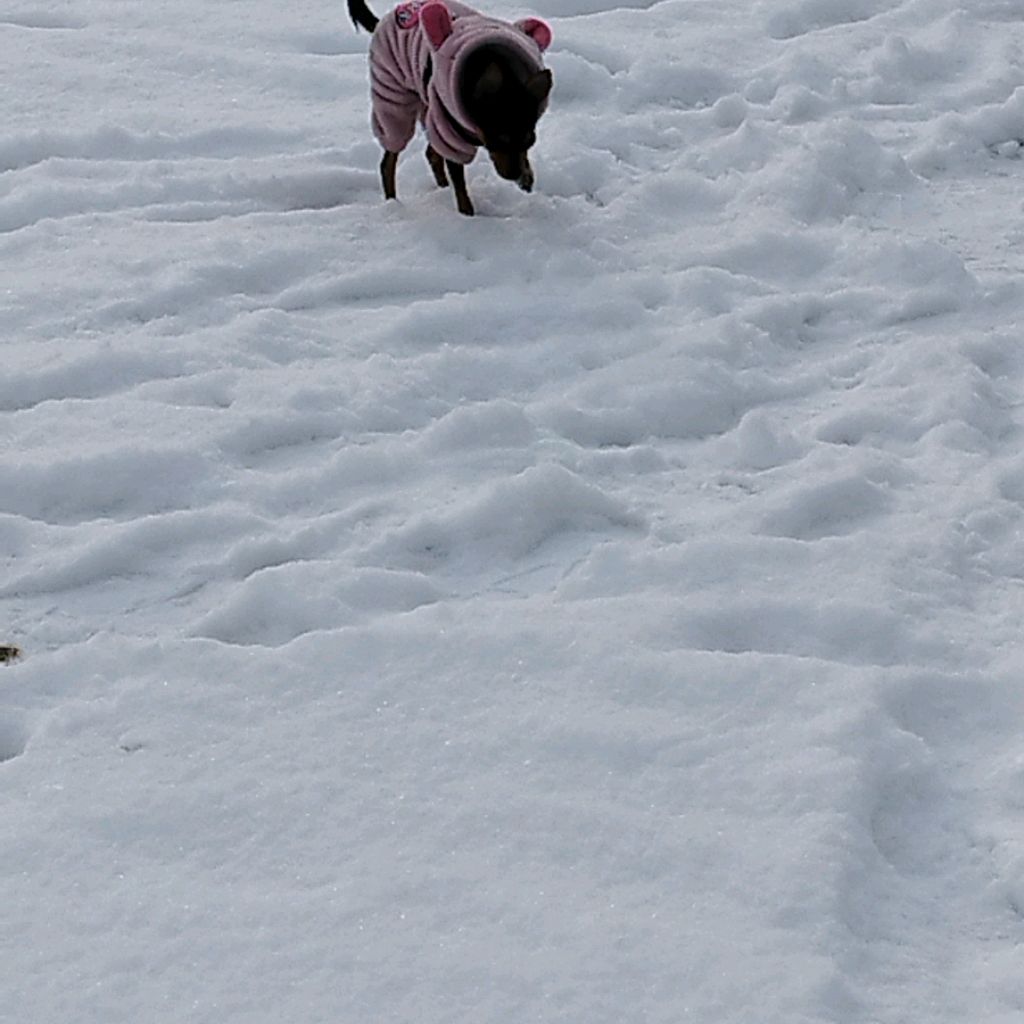 Иконка канала Немо