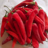 Иконка канала Межкультурное