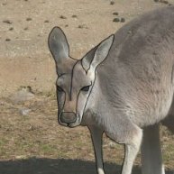 Иконка канала Илья Долгополов