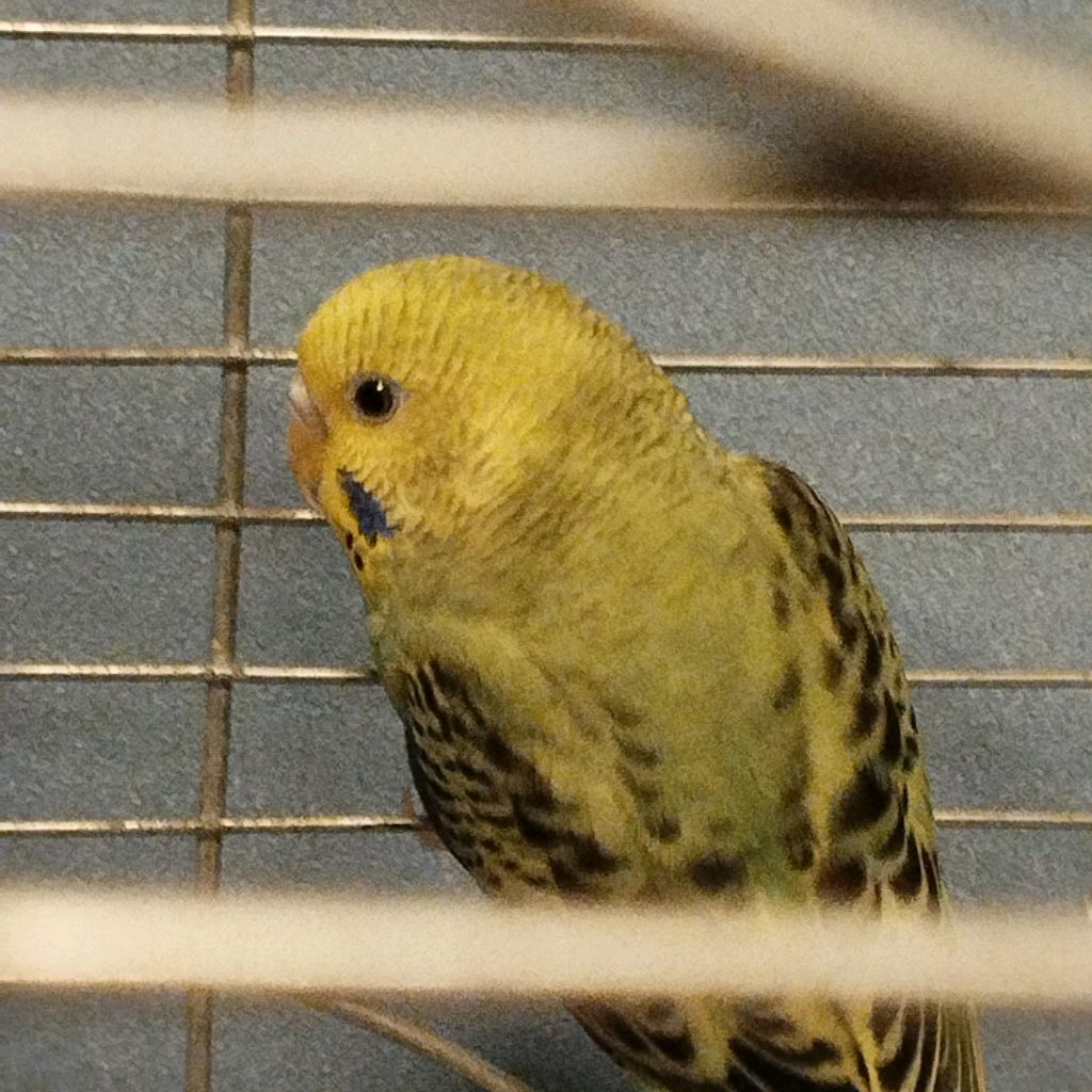 Иконка канала Андрей