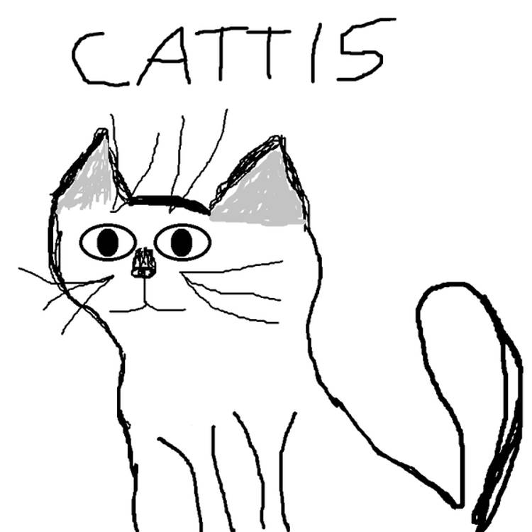 Иконка канала Cattis