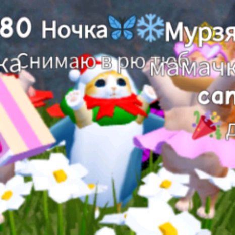 Иконка канала Nochka_Cat😺🌟🦋