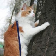 Иконка канала Энгельс-хобби