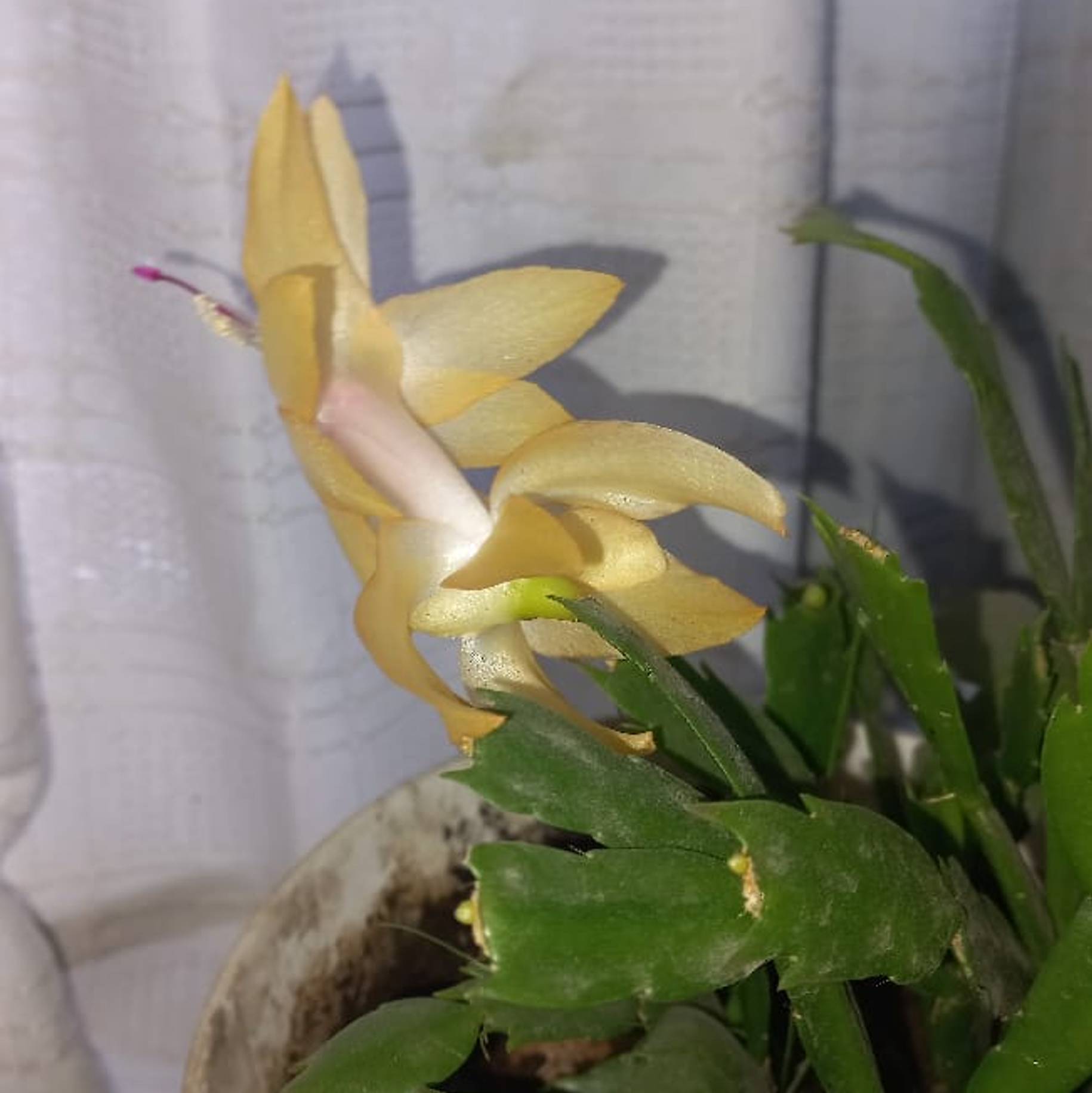 Иконка канала channel53180495