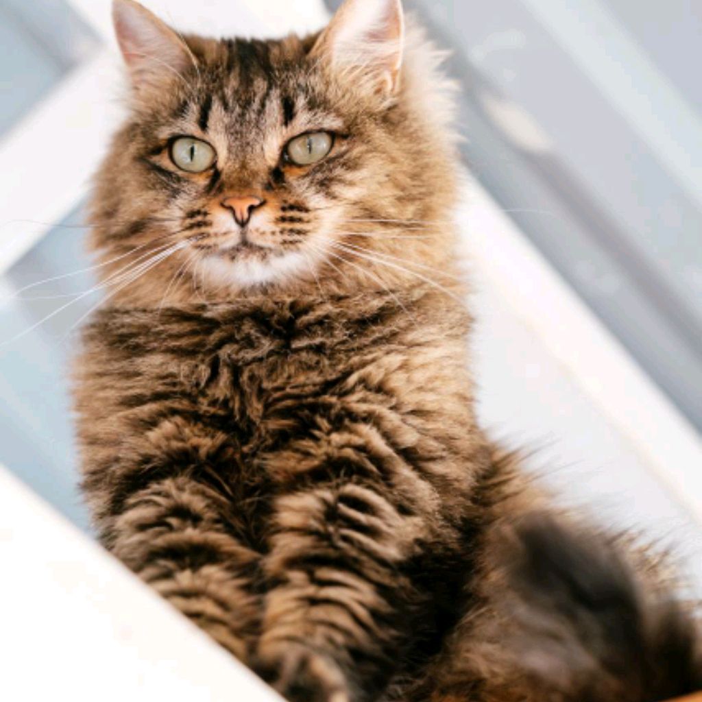 Иконка канала Yury1