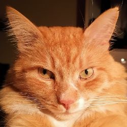 Иконка канала Gregory