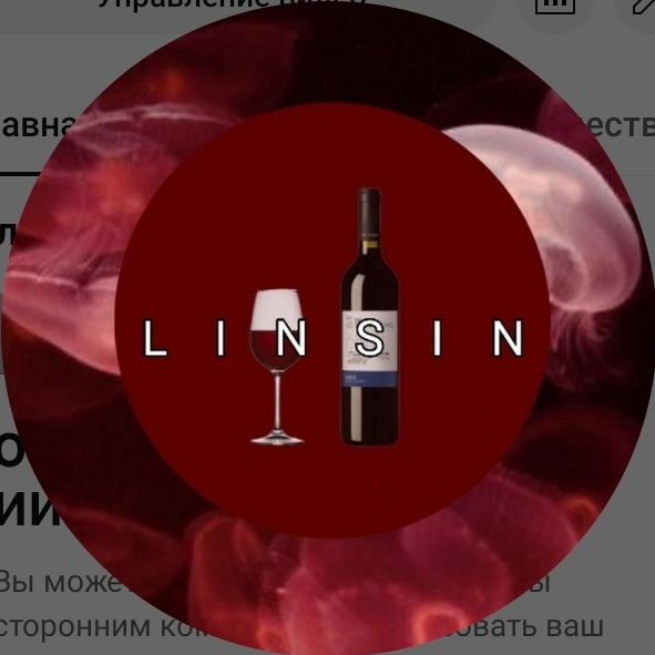 Иконка канала Linsin