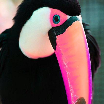 Иконка канала channel53392060