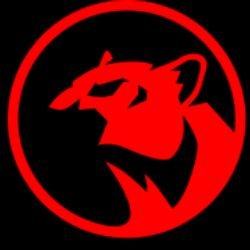Иконка канала Night Lynx