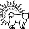 Иконка канала GOLDEN SUN питомник курильских бобтейлов г. СПб