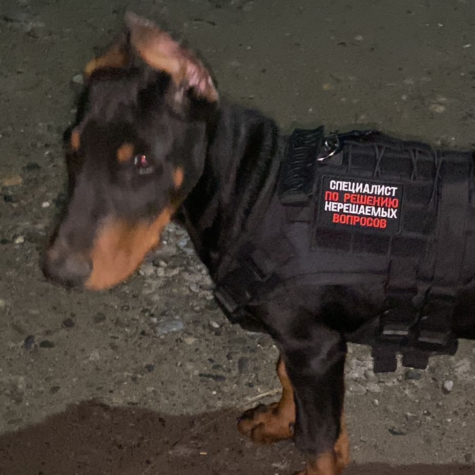 @Mr.Rustam на RUTUBE: 5 видео – смотреть онлайн и бесплатно (53584871)