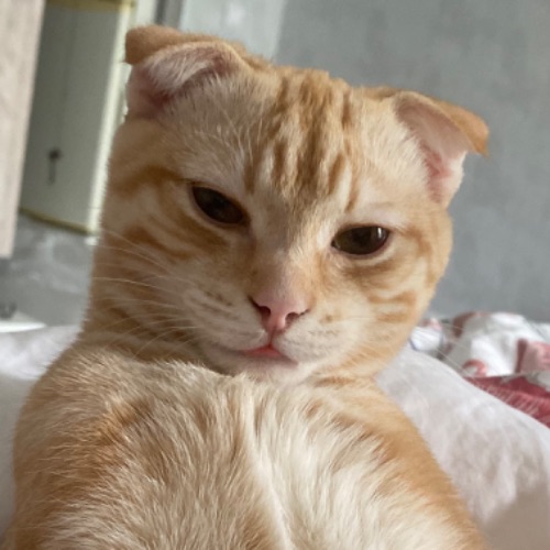 Иконка канала Оля