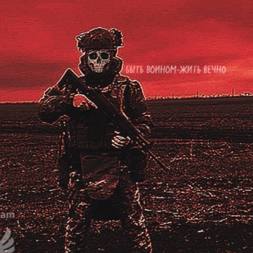 Иконка канала Military Edit ZOV