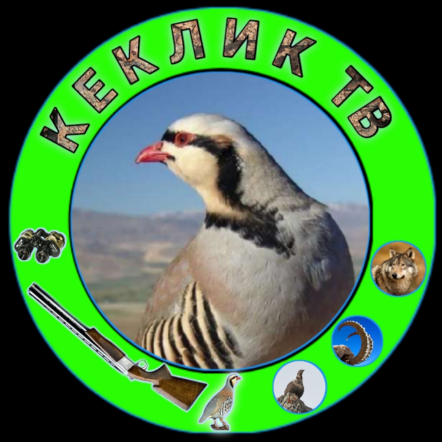Иконка канала Охота Кеклик