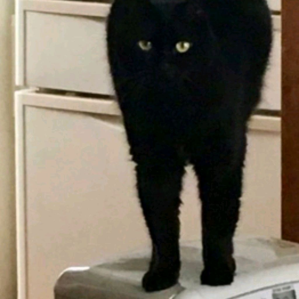 Иконка канала Креативити