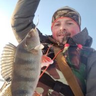 Иконка канала Freestyle Fishing