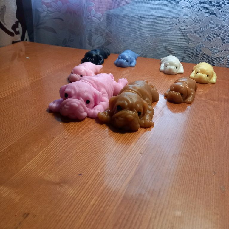 Иконка канала Четыре Лапы🐕