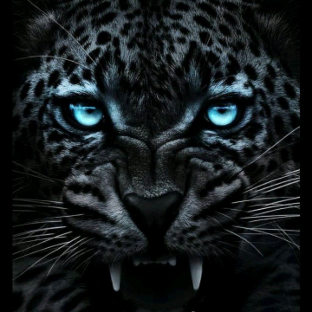 Иконка канала Александр Живой