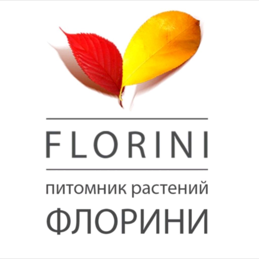 Иконка канала ФЛОРИНИ - питомник Садово-парковых Растений
