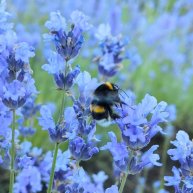 Иконка канала Марина М.