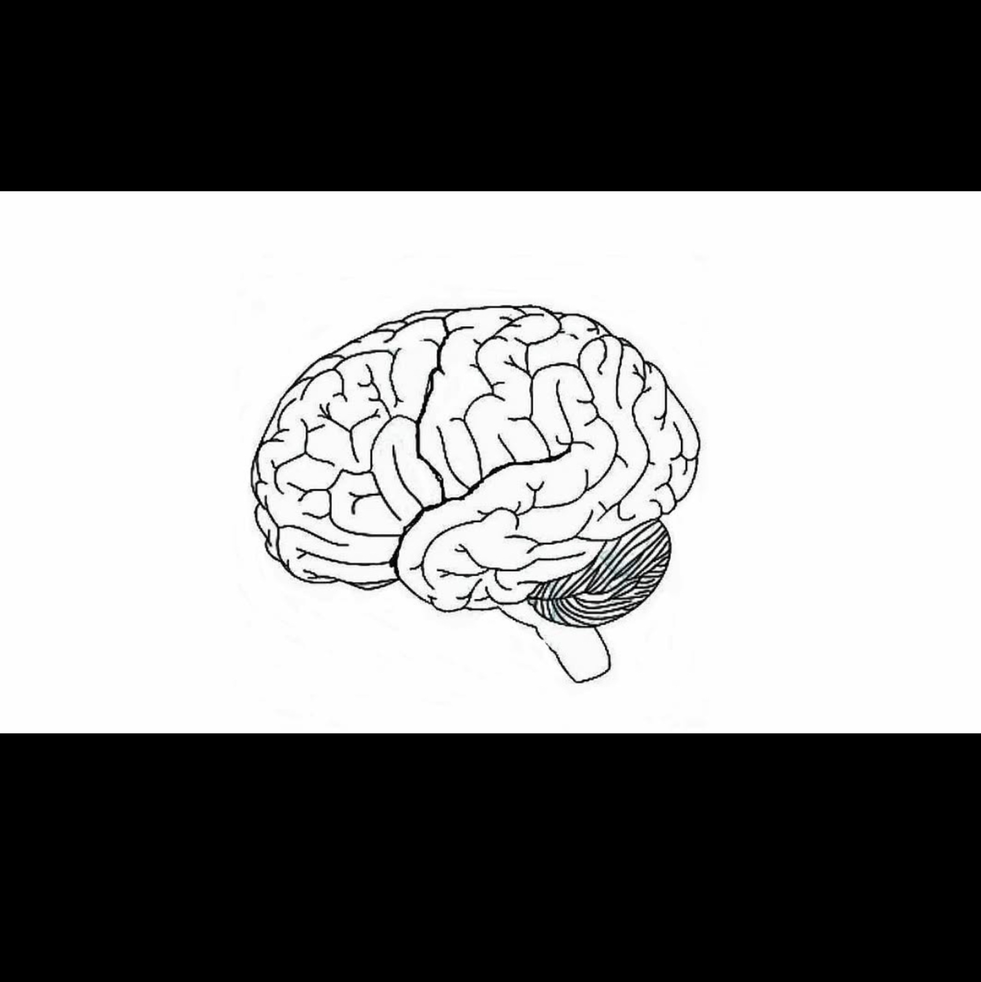 Иконка канала BuceeBangs