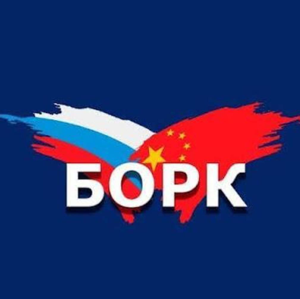 Иконка канала БОРК74