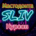 Иконка канала Mastodonta Sklad