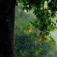 Иконка канала Много Релакса