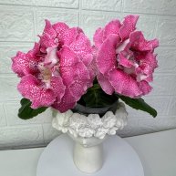 Иконка канала Глоксинии и Пеларгонии Анна