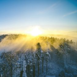 Иконка канала channel31232836