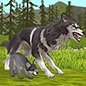 Иконка канала Wildcraft спид