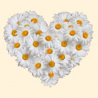 Иконка канала TulleLand. Дизайн машинной вышивки.