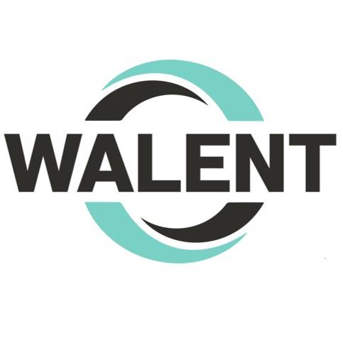Иконка канала WALENT