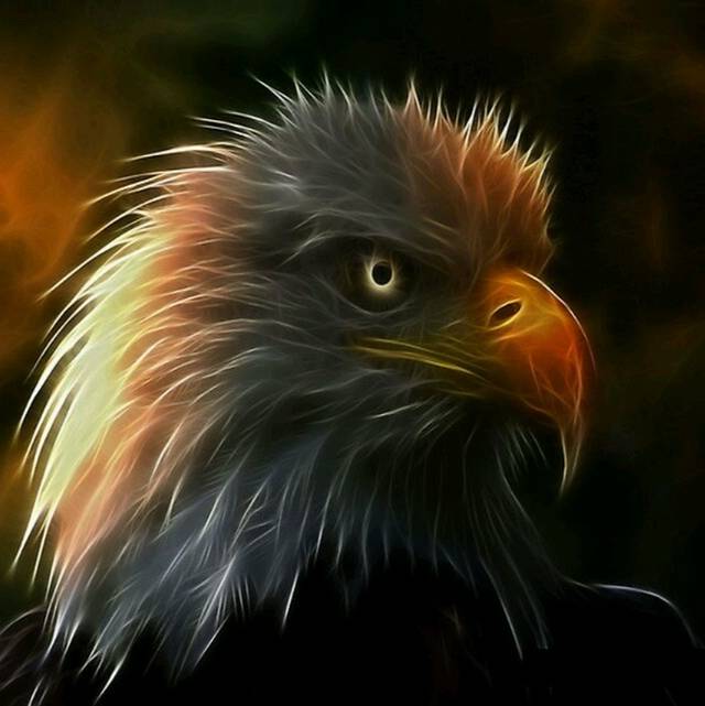 Иконка канала Black Bird Games