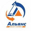 Иконка канала АЛЬЯНС SELECT Чебоксары|Авто с пробегом
