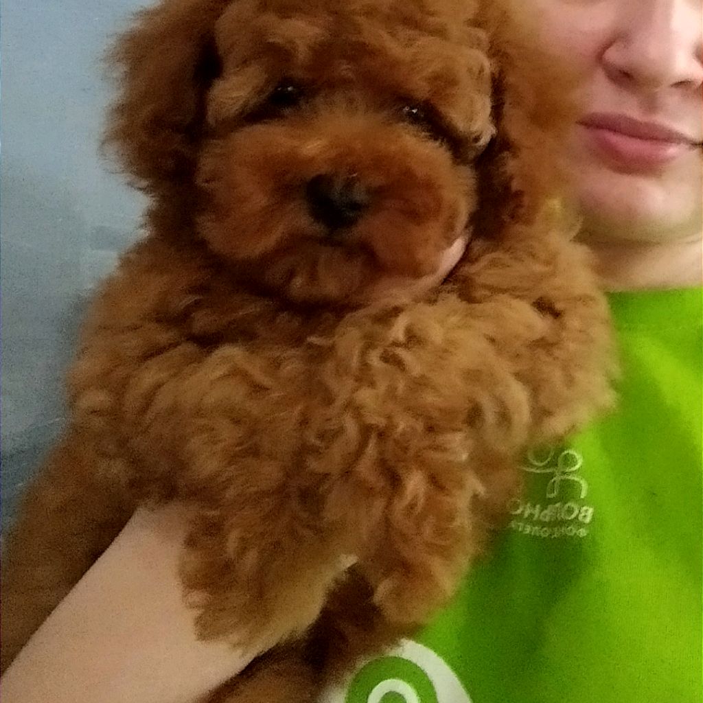 Иконка канала Моё Хозяйство