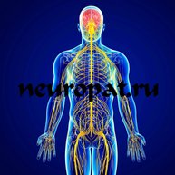 Иконка канала Нейроабдукция
