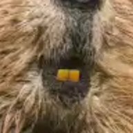 Иконка канала Bòbr™