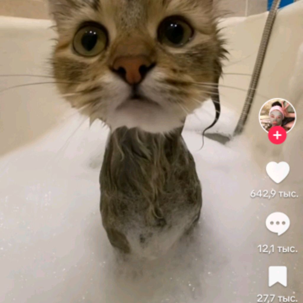 Иконка канала Эчпочмак