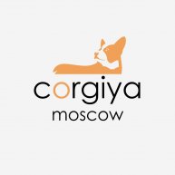 Иконка канала CORGIYA_MOSCOW