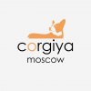Иконка канала CORGIYA_MOSCOW