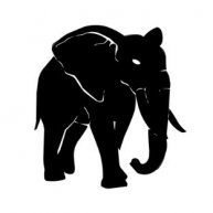 Иконка канала slon-e.ru