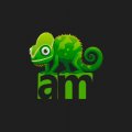 Иконка канала chameleon-games