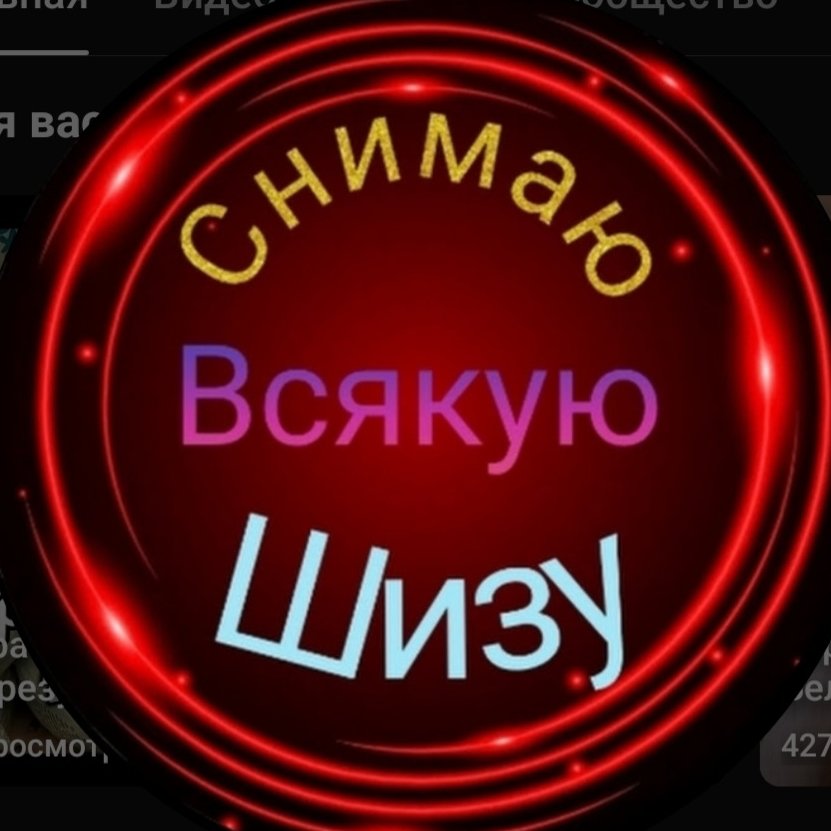 Иконка канала Снимаю всякую шизу