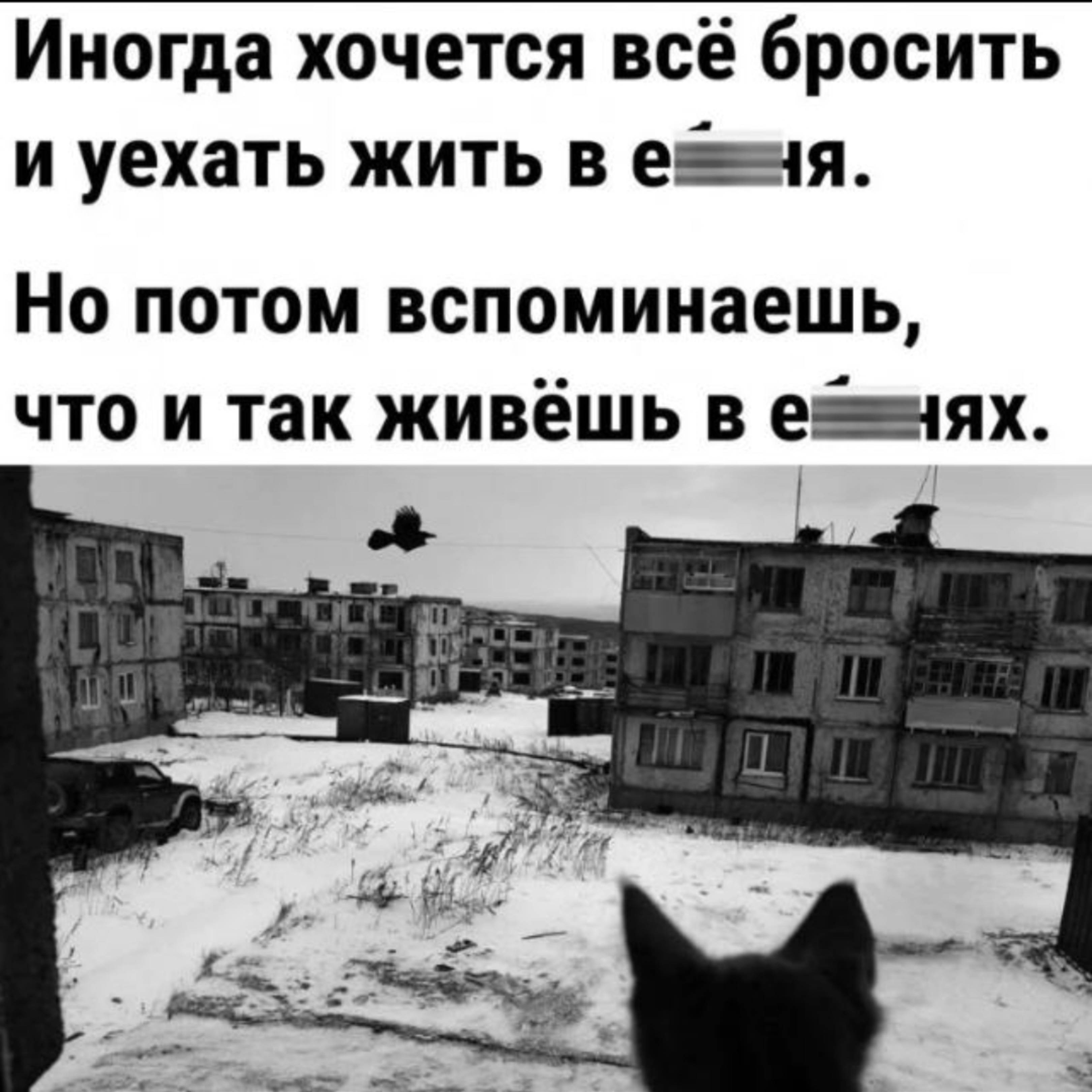 Иконка канала Жизнь Бекова