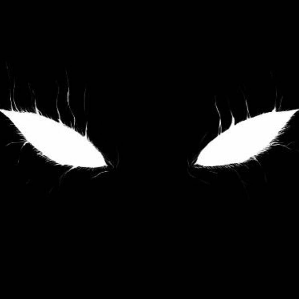 Иконка канала Forset Channel