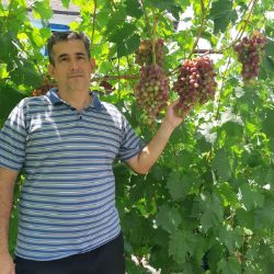 Иконка канала Станислав, виноград Астрахань