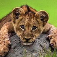 Иконка канала Анастасия Каменская