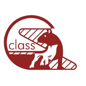 Иконка канала Дверные замки CLASS