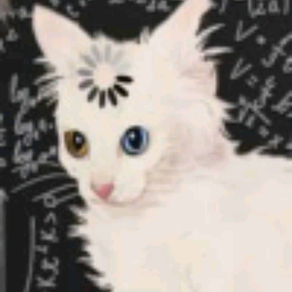 Иконка канала funny cat